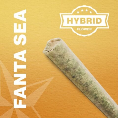 Fanta Sea Pre-Roll | 1g | Green Meadows | Seed, Boston MA