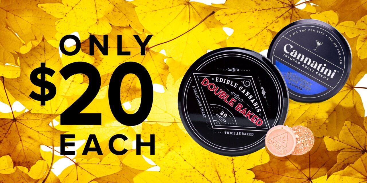 Recreational Marijuana Dispensary, Boston MA | Seed, Boston MA